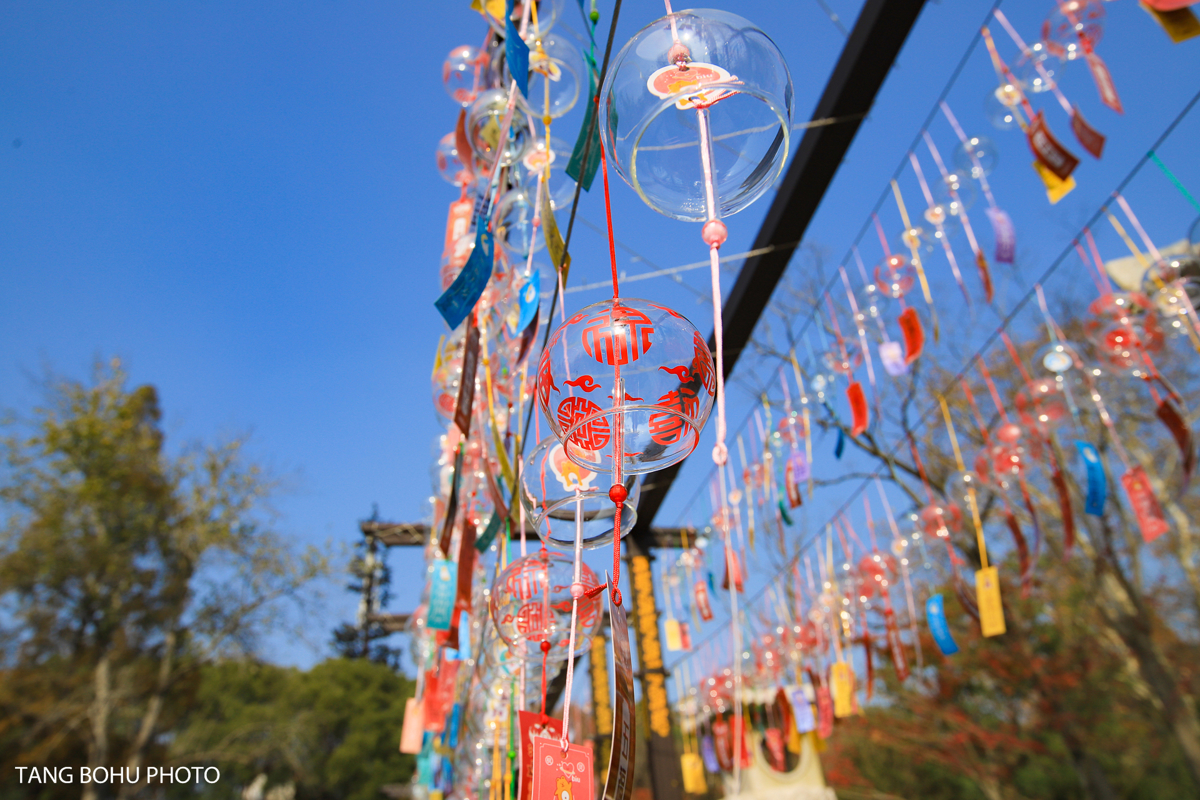 Nanjing Qixia Mountain: My Journey Through Jiangnan's Most Beautiful ...